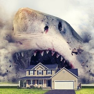 House Shark - Rotten Tomatoes