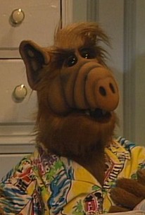ALF: Season 2, Episode 2 - Rotten Tomatoes