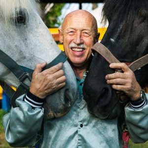 The Incredible Dr. Pol - Rotten Tomatoes