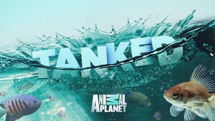 Tanked Tv Show Logo