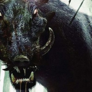 Pig Hunt - Rotten Tomatoes