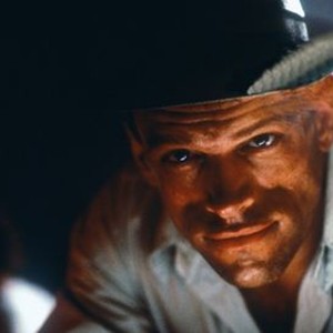 Perfect Target - Rotten Tomatoes