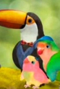 3rd & Bird: Season 2, Episode 2 | Rotten Tomatoes