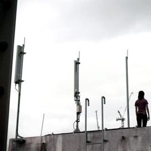 Ezann Lee - Rotten Tomatoes