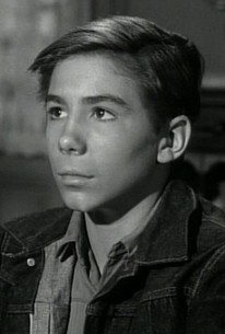 The Rifleman: Season 4, Episode 8 | Rotten Tomatoes