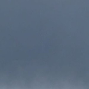 Angry Inuk - Rotten Tomatoes