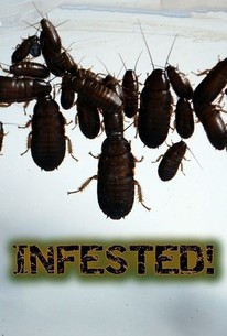 Infested! | Rotten Tomatoes