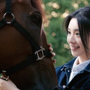 Ride On - Rotten Tomatoes