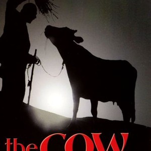 The Cow - Rotten Tomatoes