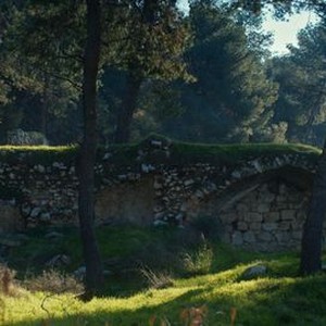Blue Box - Rotten Tomatoes