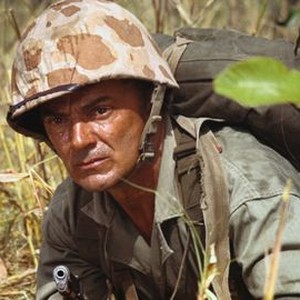 Beach Red - Rotten Tomatoes