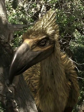 Prehistoric Predators Terror Bird