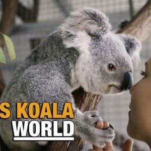 Izzy's Koala World - Rotten Tomatoes