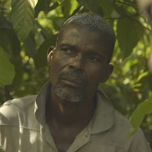 The Dark Side of Chocolate - Rotten Tomatoes