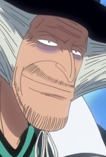 One Piece: Season 3, Episode 9 | Rotten Tomatoes