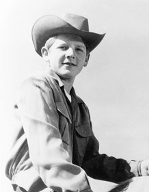 David Stollery | Rotten Tomatoes