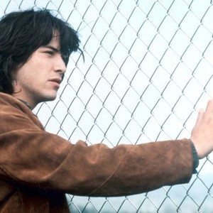 Permanent Record - Rotten Tomatoes