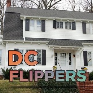 DC Flippers: Season 1, Episode 1 - Rotten Tomatoes