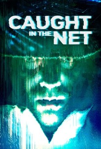 Caught in the Net: Season 2 | Rotten Tomatoes