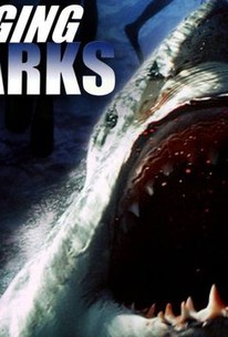 Raging Sharks - Rotten Tomatoes