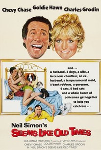 Seems Like Old Times | Rotten Tomatoes