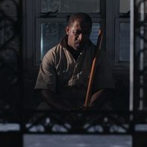 Marcus - Rotten Tomatoes