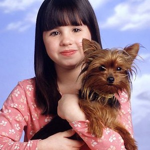 Soul Man - Rotten Tomatoes