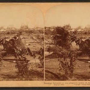 Prototype - Rotten Tomatoes