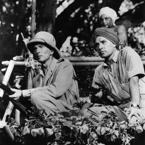 Michael Rennie - Rotten Tomatoes