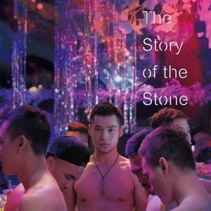 The Story of the Stone - Rotten Tomatoes