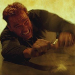 Collateral Damage - Rotten Tomatoes