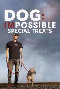 Dog Impossible: Special Treats | Rotten Tomatoes