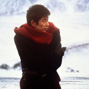 Cold Fever - Rotten Tomatoes