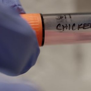 Meat the Future - Rotten Tomatoes