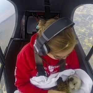 Alaska Animal Rescue - Rotten Tomatoes