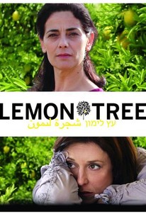 Lemon Tree | Rotten Tomatoes