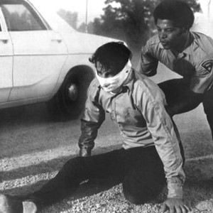 Felton Perry - Rotten Tomatoes