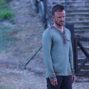 Welcome Home - Rotten Tomatoes