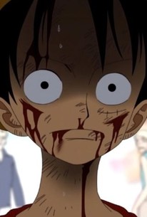 One Piece: Season 6, Episode 4 | Rotten Tomatoes