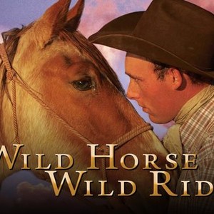 Wild Horse, Wild Ride - Rotten Tomatoes