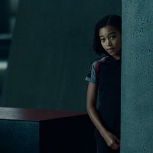 The Hunger Games - Rotten Tomatoes