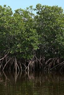 America's National Parks: Season 2, Episode 2 | Rotten Tomatoes