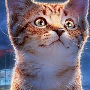 Cat Nation - Rotten Tomatoes