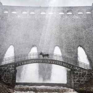 EO - Rotten Tomatoes