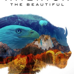 America the Beautiful - Rotten Tomatoes