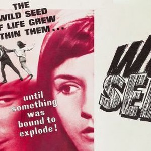 Wild Seed - Rotten Tomatoes