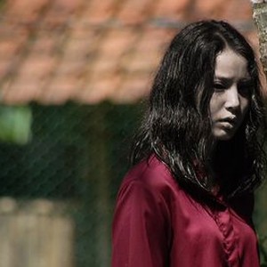 Qorin - Rotten Tomatoes