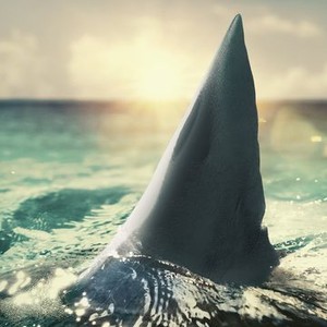 When Sharks Attack 360 - Rotten Tomatoes