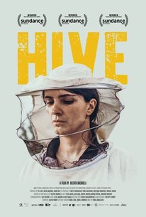 Hive | Rotten Tomatoes