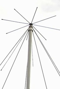 Scope: Season 5, Episode 46 | Rotten Tomatoes